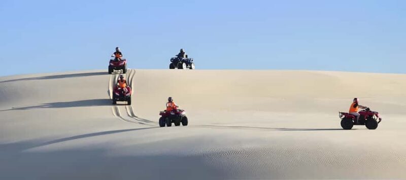 Sydney:Dolphin Watching and Sandboarding in Port Stephens - An Authentic Day Trip from Sydney to Port Stephens