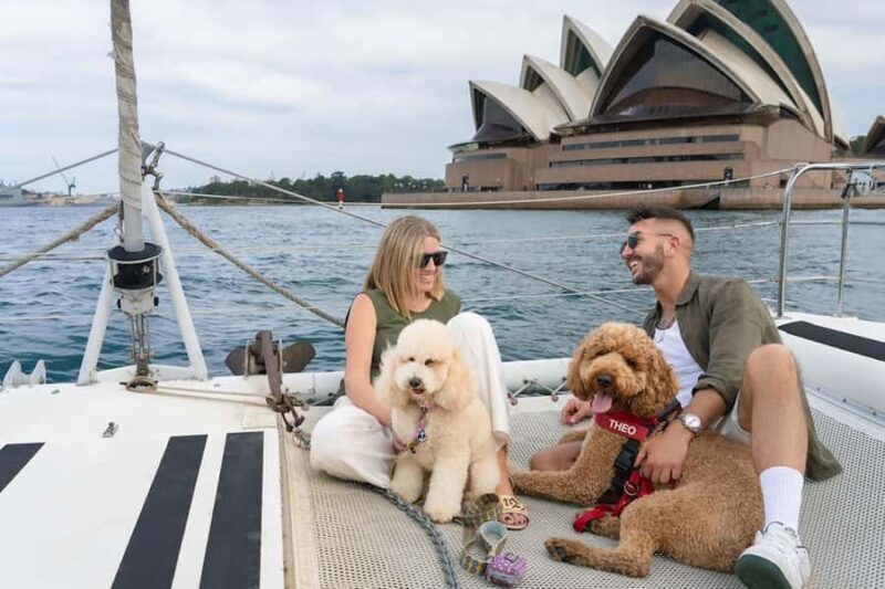 Sydney's 1st Dog Friendly Harbour Cruise: Dogs on Deck - Key Points