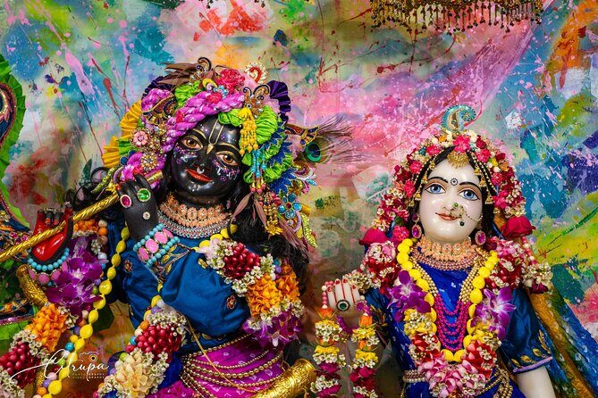 Sydney's Little Italy Food Tour - Final Thoughts