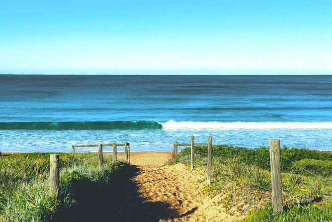 Sydney's Northern Beaches & Ku-ring-gai National Park Small Tour departing Manly - Whale Beach and the Opulent Mansions