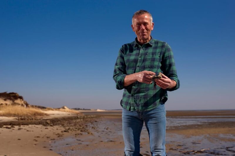 Sylt: Guided Mudflat Hike on the Island - Who Will Love This Tour?