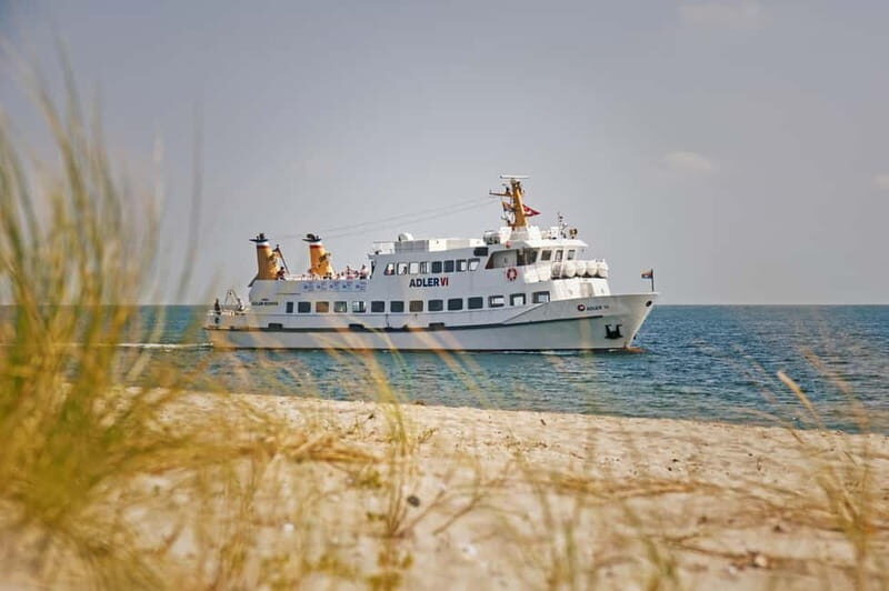 Sylt: Shell safari with boat | incl. Mussel tasting & 1 glass of wine - Who Will Love This Experience?