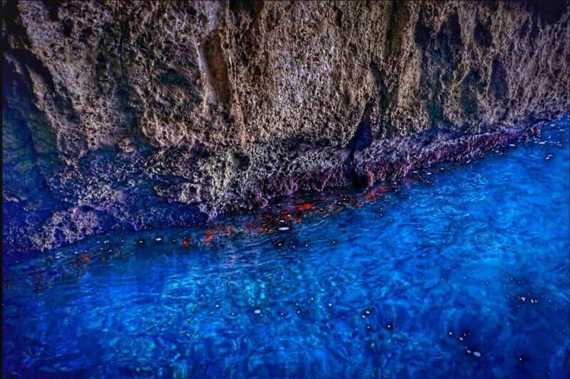 Syracuse: boat tour of sea caves and Ortigia, Papyrus Excursion - The Experience: Pros and Cons