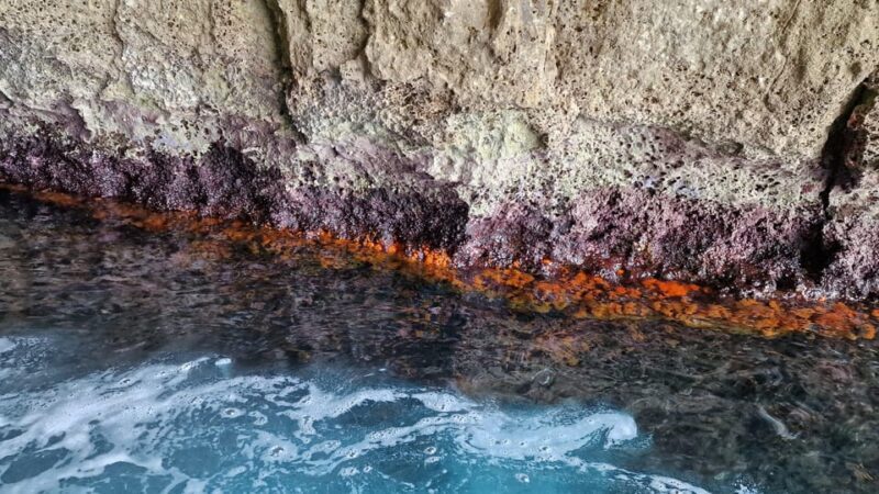 Syracuse:Snorkeling+Pillirina, Ortigia & sea caves boat tour - Who Is This Tour Best For?