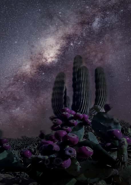 Tabernas Desert: Stargazing with Telescopes - Final Thoughts