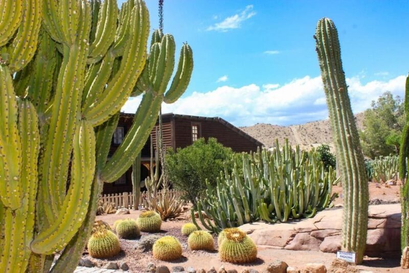 Tabernas: MiniHollywood Oasys Entry Ticket & Optional Buffet - The Zoological Reserve: An Unexpected Highlight