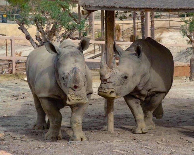 Tabernas: MiniHollywood Oasys Entry Ticket & Optional Buffet - Dining and Refreshments