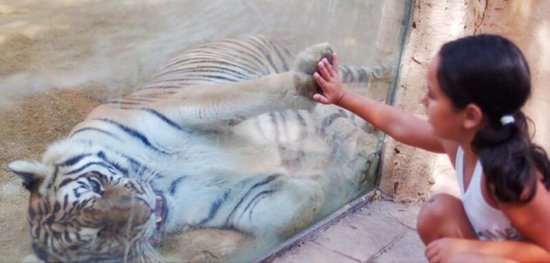 Tabernas: MiniHollywood Oasys Entry Ticket & Optional Buffet - Authenticity and Visitor Experience