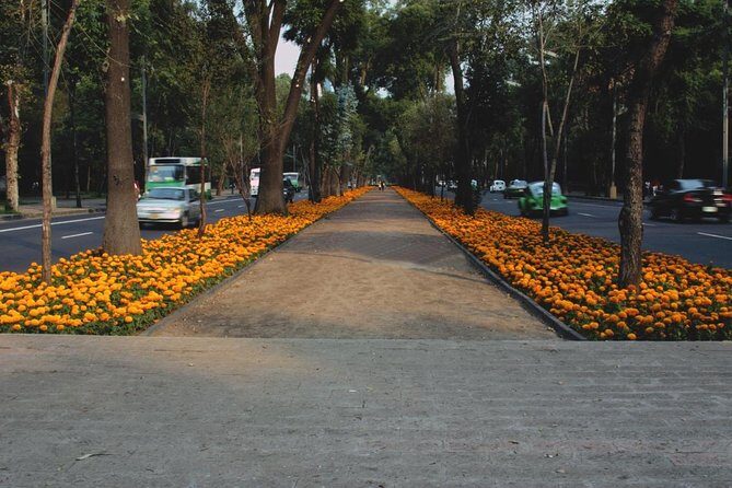 Taco Culture Bike Tour with 4 Taco Stops - An In-Depth Look at the Taco Culture Bike Tour