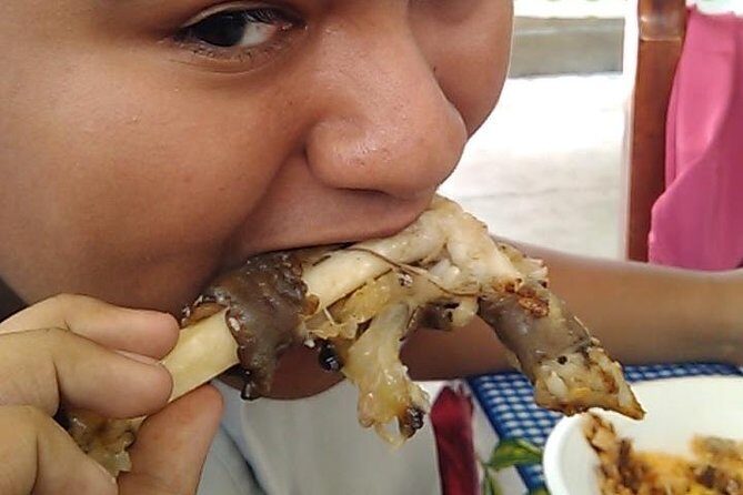 Taco Tour - An In-Depth Look at the Taco Tour