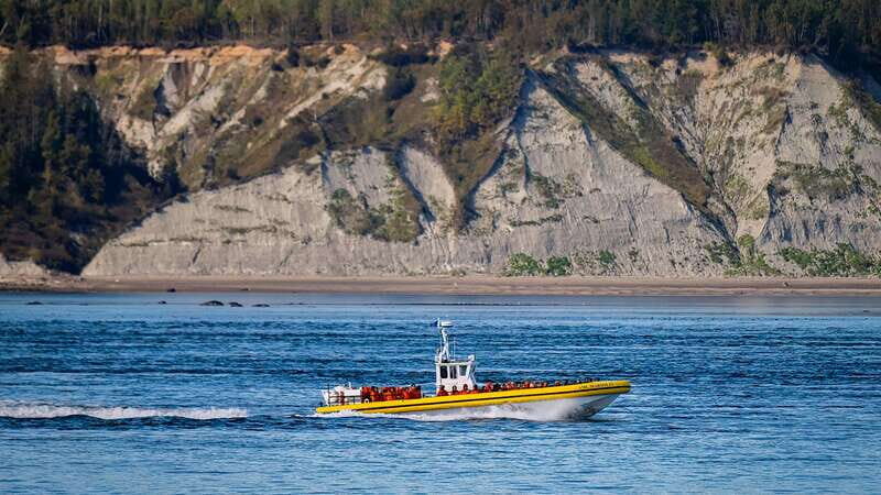 Tadoussac/Charlevoix: Whale Watching Tour & Bear Observation - FAQs