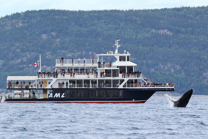 Tadoussac/Charlevoix: Whale Watching Tour - Tadoussac/Charlevoix: Whale Watching Tour Review