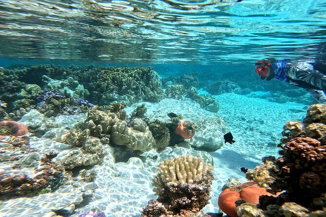 Tahaa Excursion in Electric Paddle Snorkeling Coral Garden - What Makes This Tour Stand Out?