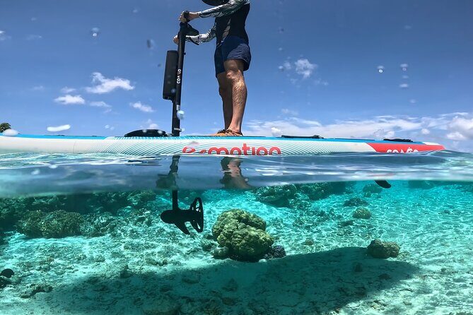 Tahaa Excursion in Electric Paddle Snorkeling Coral Garden - What’s Included & What’s Not