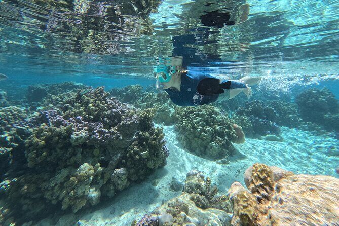 Tahaa Excursion in Electric Paddle Snorkeling Coral Garden - The Experience: What Travelers Say