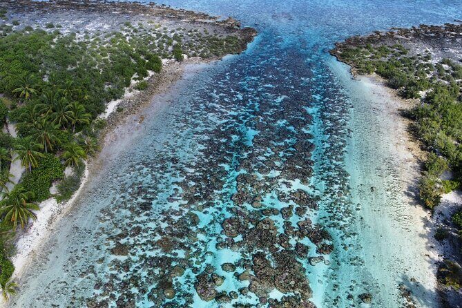 Tahaa Excursion in Electric Paddle Snorkeling Coral Garden - Final Thoughts