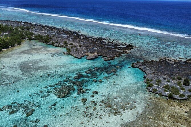 Tahaa Excursion in Electric Paddle Snorkeling Coral Garden - FAQ