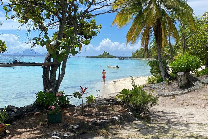 Taha'a Island or Raiatea Boat Tour - Why Choose This Tour?