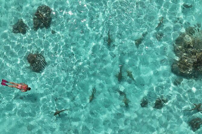 Taha'a Island or Raiatea Boat Tour - Pricing and Value