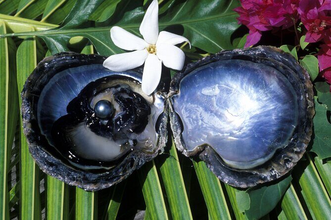 Tahaa Lagoon Tour -Departure Raiatea-Small groups (max 12 p) - The Overview: Why This Tour Is Worth Your Time  