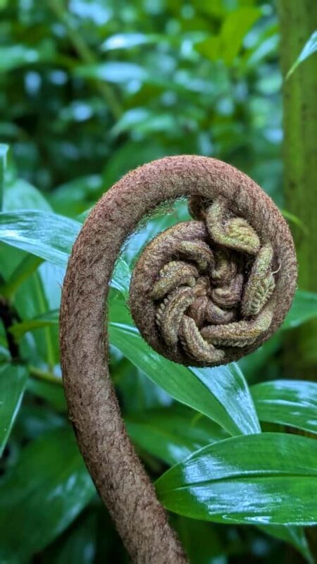 Tahiti Classical Coastal Full Day Private Tour - The Sum Up