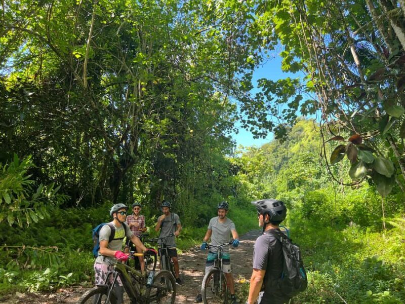 Tahiti E-bike, mtb, vtt Tour with Swimming and Lunch - What to Expect on the Titaaviri Valley E-bike Tour