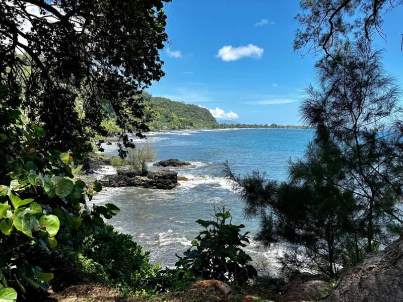 Tahiti: East or West coast tour (Half Day) - What to Expect from the Tour