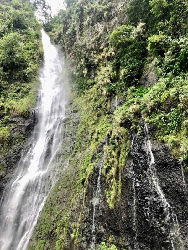 Tahiti: East or West coast tour (Half Day) - FAQ