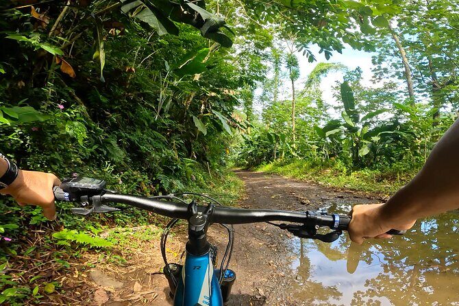 Tahiti excursion adventure circuit MTB MTB E-Bike private valley - Physical Fitness and Suitability