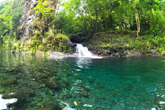 Tahiti excursion adventure circuit MTB MTB E-Bike private valley - The Unique Appeal of This Tour