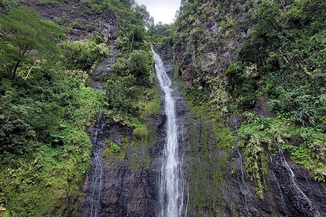 Tahiti Fautaua Valley and Big Waterfall Private Hiking Tour - What Makes the Tour Stand Out