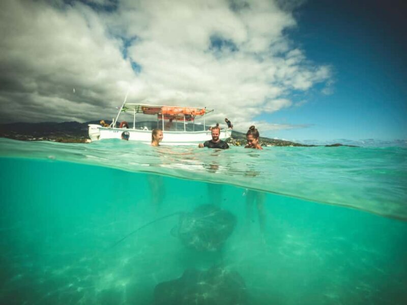 Tahiti island: 4 hours Snorkeling Tour - Who Will Love This Tour?
