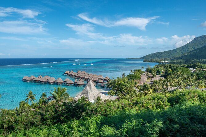 Tahiti Island Highlights Private Half Day Shore Tour - The Sum Up