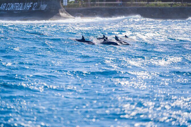 Tahiti Lagoon Snorkeling and Lunch Boat Tour (6 pax max) - Price & Value