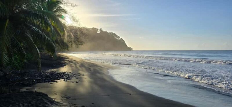 Tahiti: Northeast Coast Waterfalls&Viewpoints Half Day Tour - Exploring Tahiti’s Northeast Coast Waterfalls & Viewpoints: A Practical Review