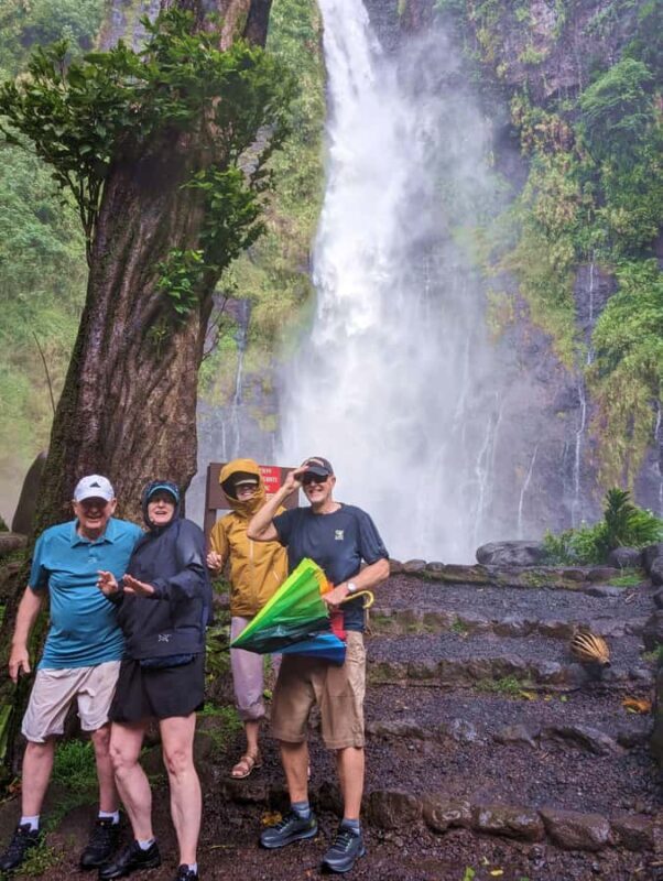 Tahiti: Northeast Coast Waterfalls&Viewpoints Half Day Tour - The Itinerary: What You’ll Experience