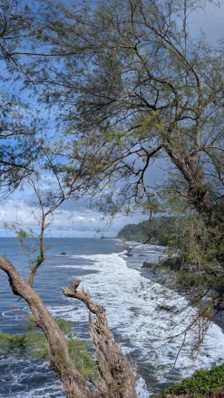 Tahiti: Northeast Coast Waterfalls&Viewpoints Half Day Tour - Transportation & Practical Details
