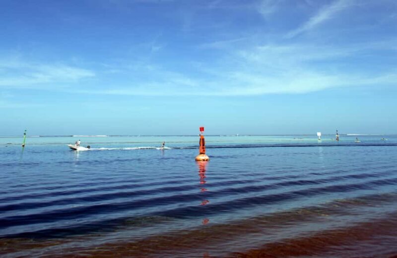 Tahiti: Private Half Day Culture and Nature Highlights Tour - Practical Considerations