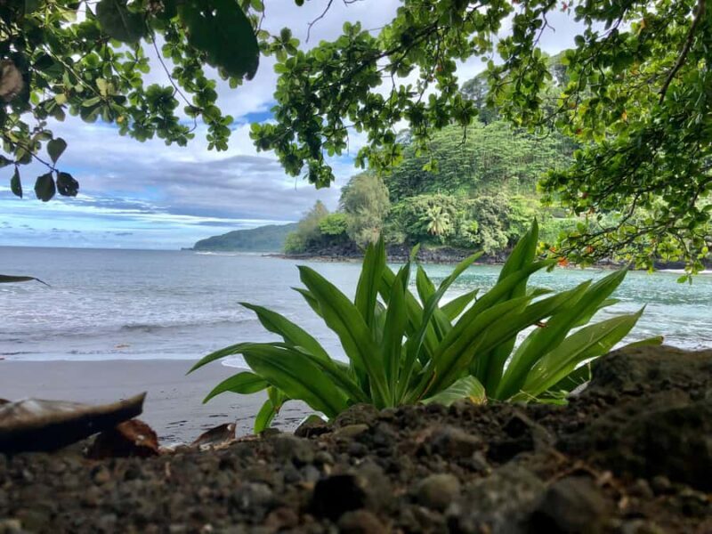Tahiti : Tour de lîle Côte Est et Côte Ouest (Full Day) - An overview of the full-day Tahiti tour