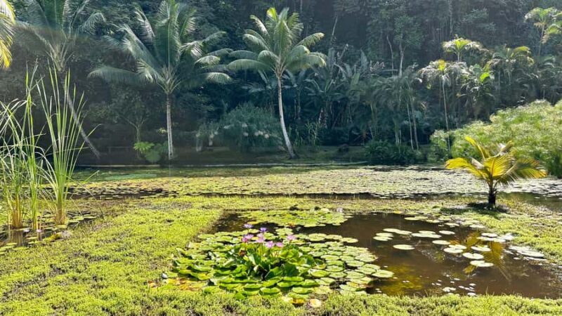 Tahiti : Tour de lîle Côte Est et Côte Ouest (Full Day) - Who is this tour best suited for?