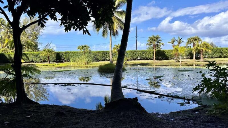 Tahiti : Tour de lîle Côte Est et Côte Ouest (Full Day) - Pricing and value