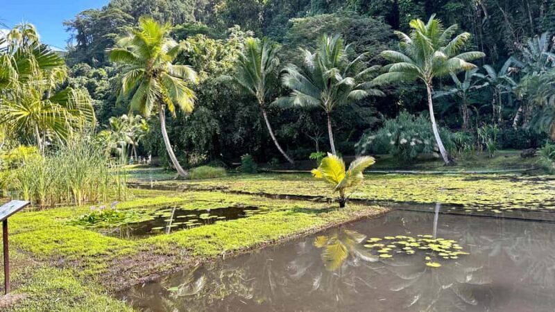 Tahiti : Tour de lîle (Full Day) avec Parapente - Practical Details and Considerations