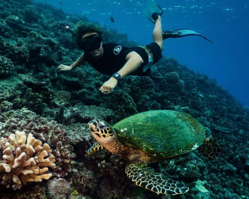 Tahiti underwater photo experience - Final Thoughts: Who Would Love This Experience?