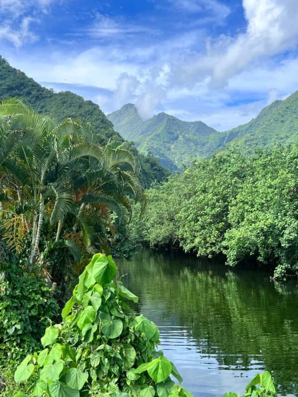 Tahiti: Unique Full Day West Coast, Combo Tour to Teahupoo - Frequently Asked Questions