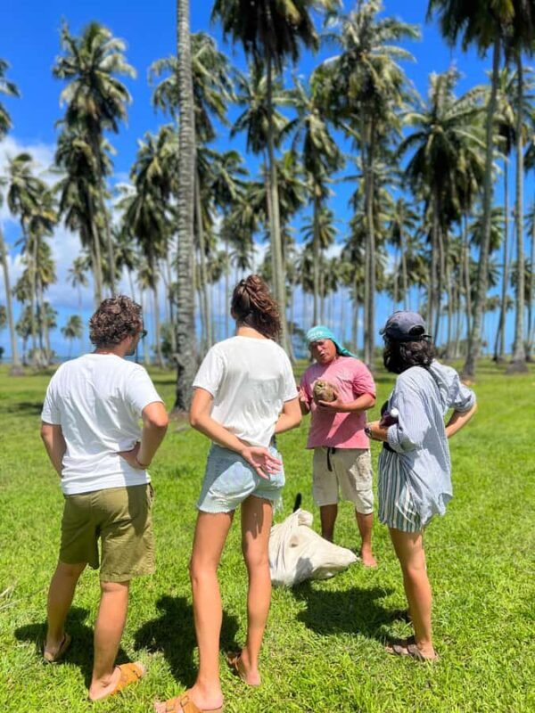 Tahiti: Unique West Coast Half Day Tour with Local Guide - Key Points