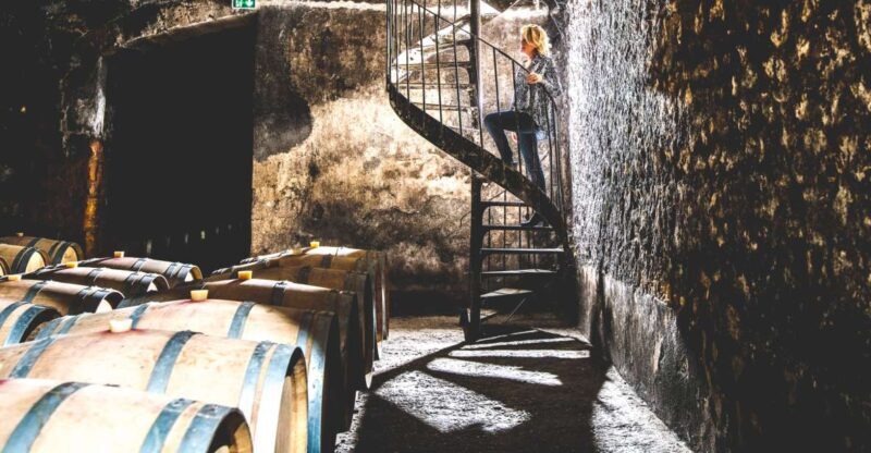 Taillan-Médoc: Château Visit and Wine Tasting in Bordeaux - Key Points