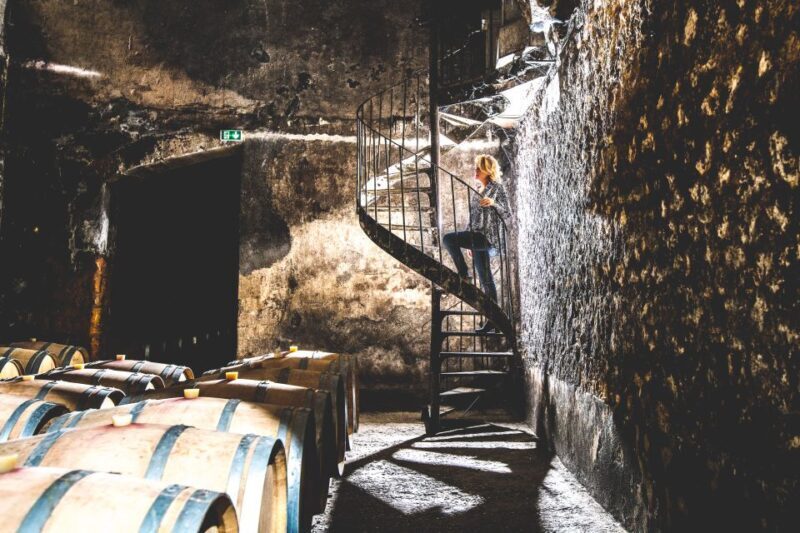 Taillan-Médoc: Château Visit and Wine Tasting in Bordeaux - A Closer Look at the Château du Taillan Experience