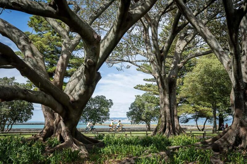 Tairwhiti Gisborne: Guided City Bike Tour - What To Expect: Practical Details