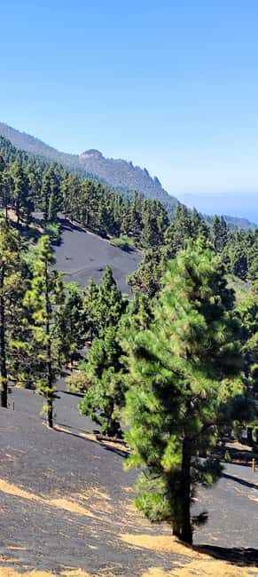 Tajogaite Volcano VIP Experience: Private Tour with a Certified Guide - Who Should Consider This Tour?