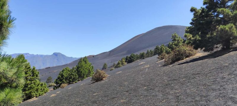 Tajogaite Volcano VIP Experience: Private Tour with a Certified Guide - Final Thoughts